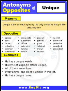 Opposite Of Justice, Antonyms of Justice (Example Sentences) - EngDic