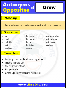 Opposite of Rise, Antonyms of Rise (Example Sentences) - EngDic
