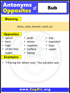 Opposite of Wise, Antonyms of Wise (Example Sentences) - EngDic