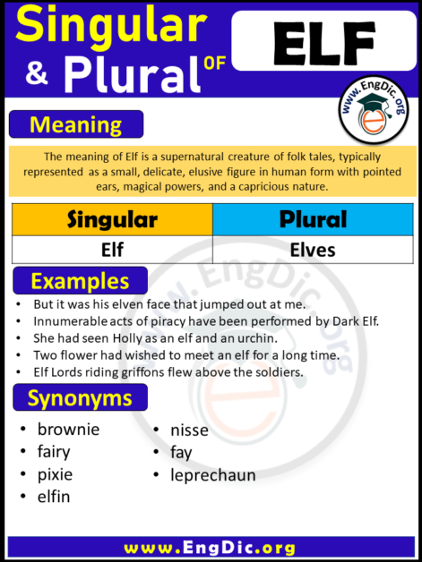 Feedback Plural, What is the plural of Feedback? - EngDic