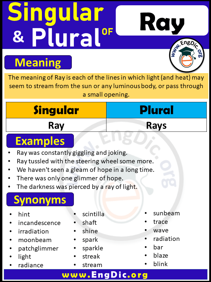 Singular And Plural Of Ray EngDic