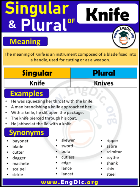 Evidence Plural, What is the Plural of Evidence? - EngDic