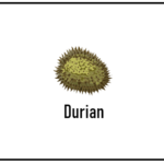 Top 100 Fruits Name with Pictures (Fruit Names List) - EngDic