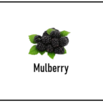 Top 100 Fruits Name with Pictures (Fruit Names List) - EngDic