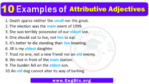 10 Examples of Attributive adjectives in Sentences - EngDic