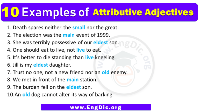 10 Examples of Attributive adjectives in Sentences - EngDic