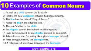10 Examples of Common Nouns in Sentences - EngDic