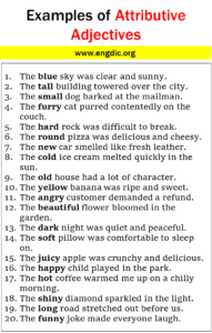 Attributive Adjectives: 100 Examples of Attributive Adjectives - EngDic
