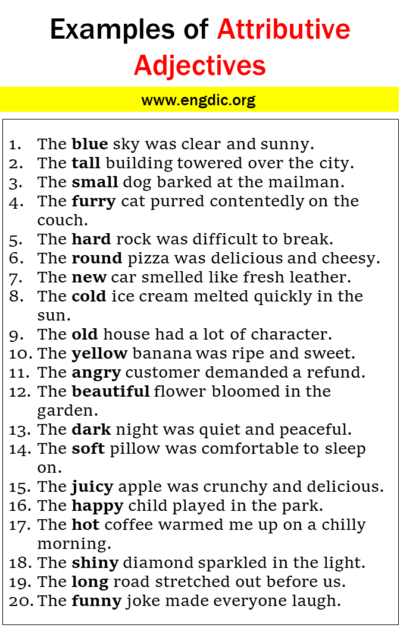 Attributive Adjectives 100 Examples Of Attributive Adjectives EngDic attributive-adjectives-100-examples-of-attributive-adjectives-engdic