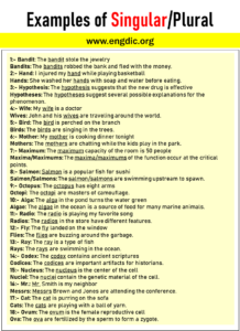 50 Examples of Singular and Plural Nouns in Sentences - EngDic