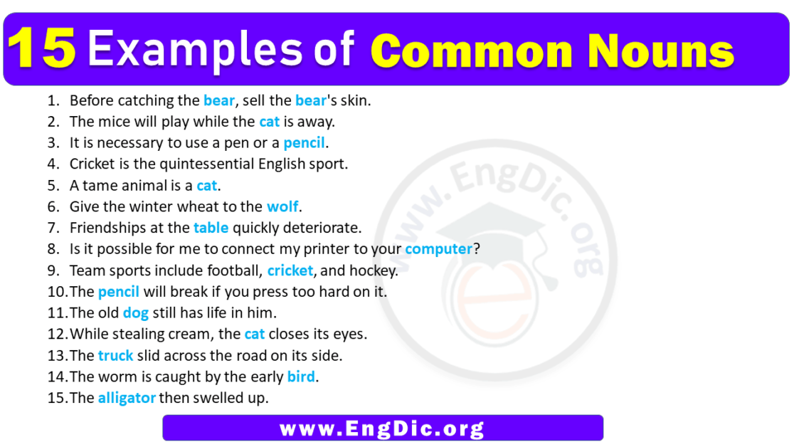 15 Examples of Common Nouns in Sentences - EngDic