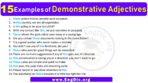 15 Examples of Demonstrative Adjectives in Sentences - EngDic