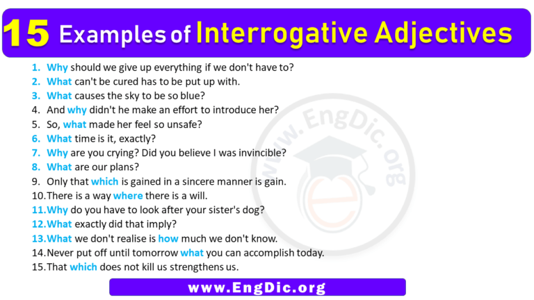 15 Examples of Interrogative Adjectives in Sentences - EngDic
