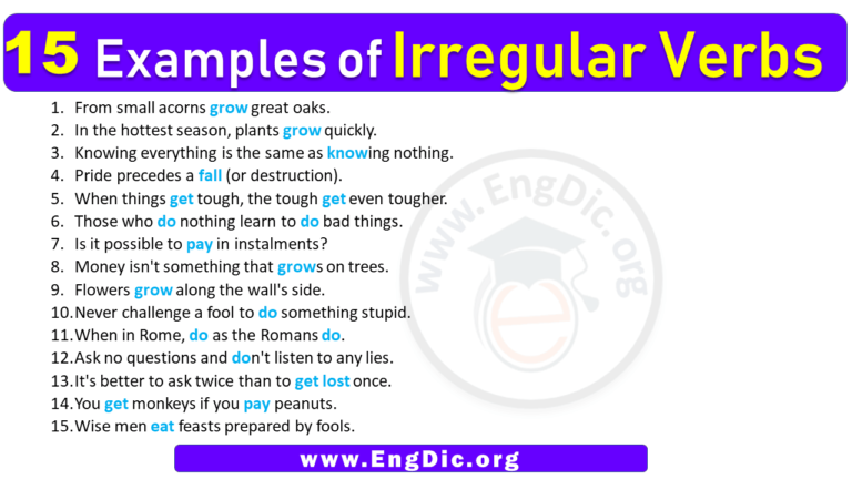 15 Examples of Irregular Verbs in Sentences - EngDic