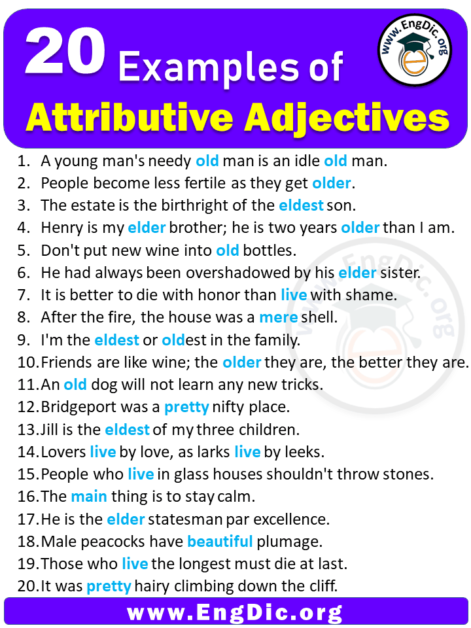 20 Examples of Attributive adjectives in Sentences - EngDic