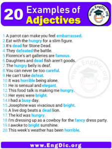 20 Examples of Adjectives in Sentences – EngDic