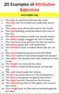 20 Examples of Attributive adjectives in Sentences - EngDic
