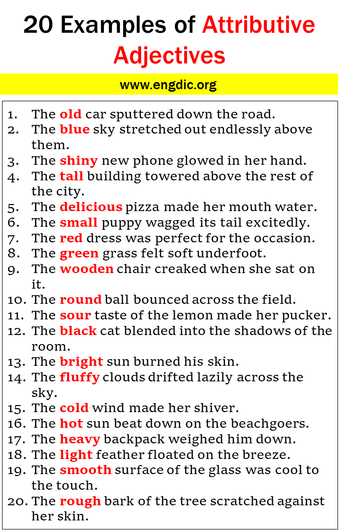 20 Examples Of Attributive Adjectives In Sentences EngDic