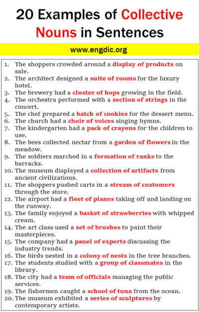20 Examples of Collective Nouns in Sentences & Meaning - EngDic