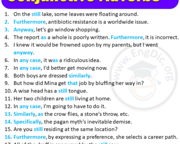 Examples of Conjunctive Adverbs in English Archives - EngDic