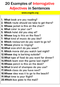 20 Examples of Interrogative Adjectives in Sentences - EngDic