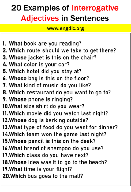 20 Examples of Interrogative Adjectives in Sentences - EngDic