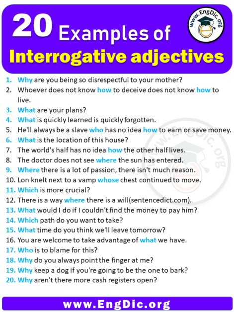 20 Examples of Interrogative Adjectives in Sentences - EngDic