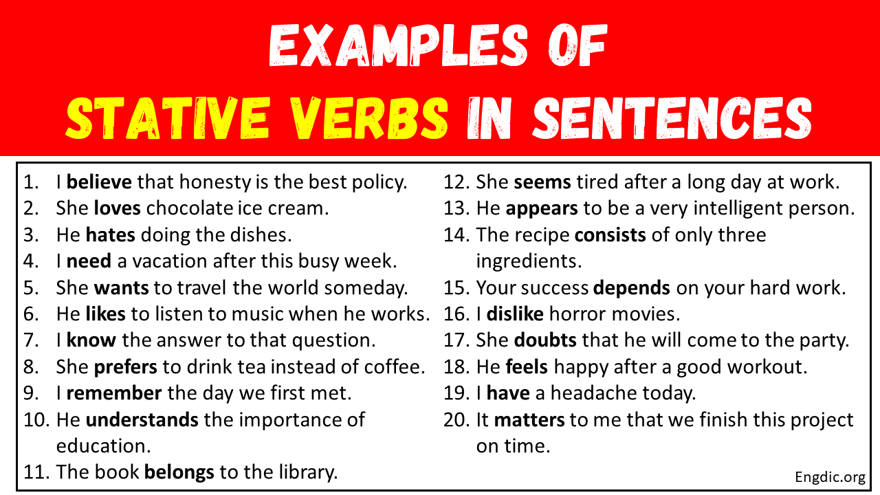 20 Examples of Stative Verbs in Sentences - EngDic