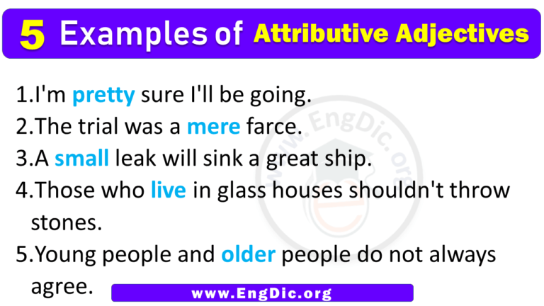 5 Examples of Attributive adjectives in Sentences - EngDic