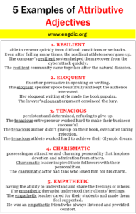 5 Examples of Attributive adjectives in Sentences - EngDic