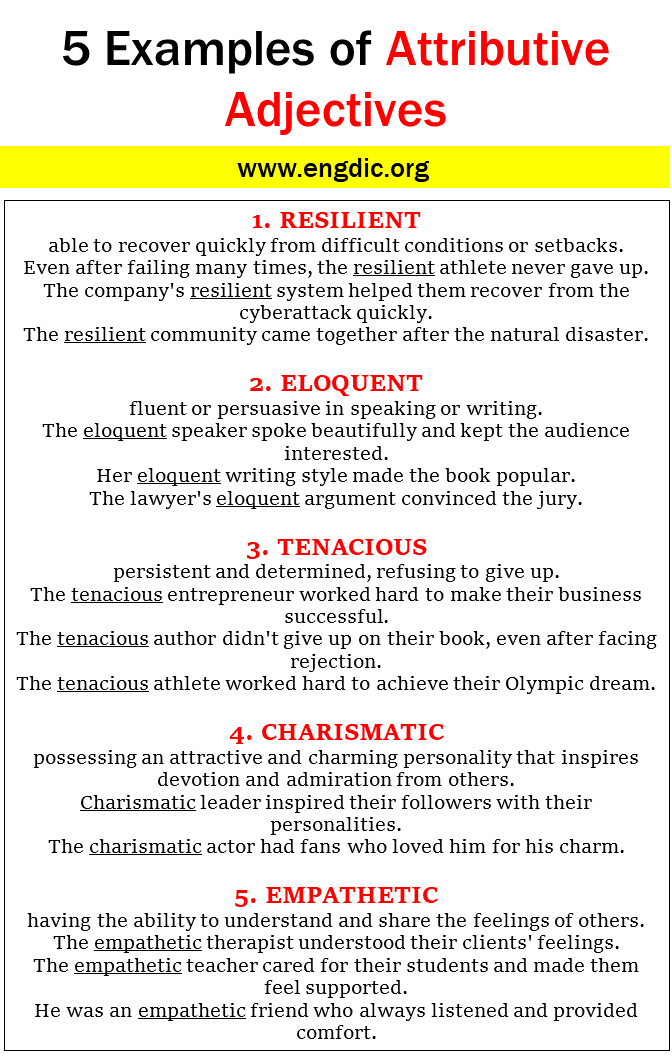 5 Examples Of Attributive Adjectives In Sentences EngDic
