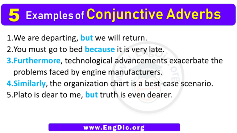 5 Examples of Conjunctive Adverbs in Sentences - EngDic