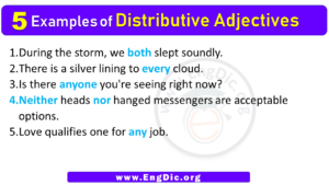 5 Examples of Distributive Adjectives in Sentences - EngDic