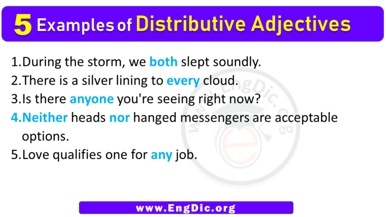 5 Examples of Distributive Adjectives in Sentences - EngDic