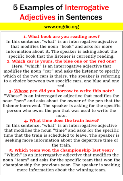 5 Examples of Interrogative Adjectives in Sentences - EngDic