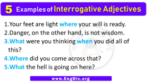 5 Examples of Interrogative Adjectives in Sentences - EngDic