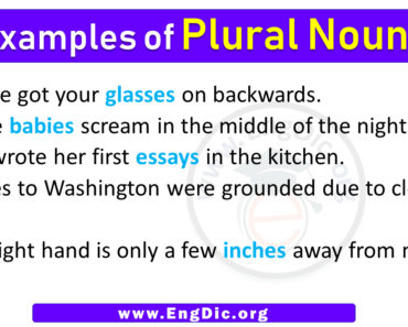 100 Examples of Stative Verbs in Sentences - EngDic