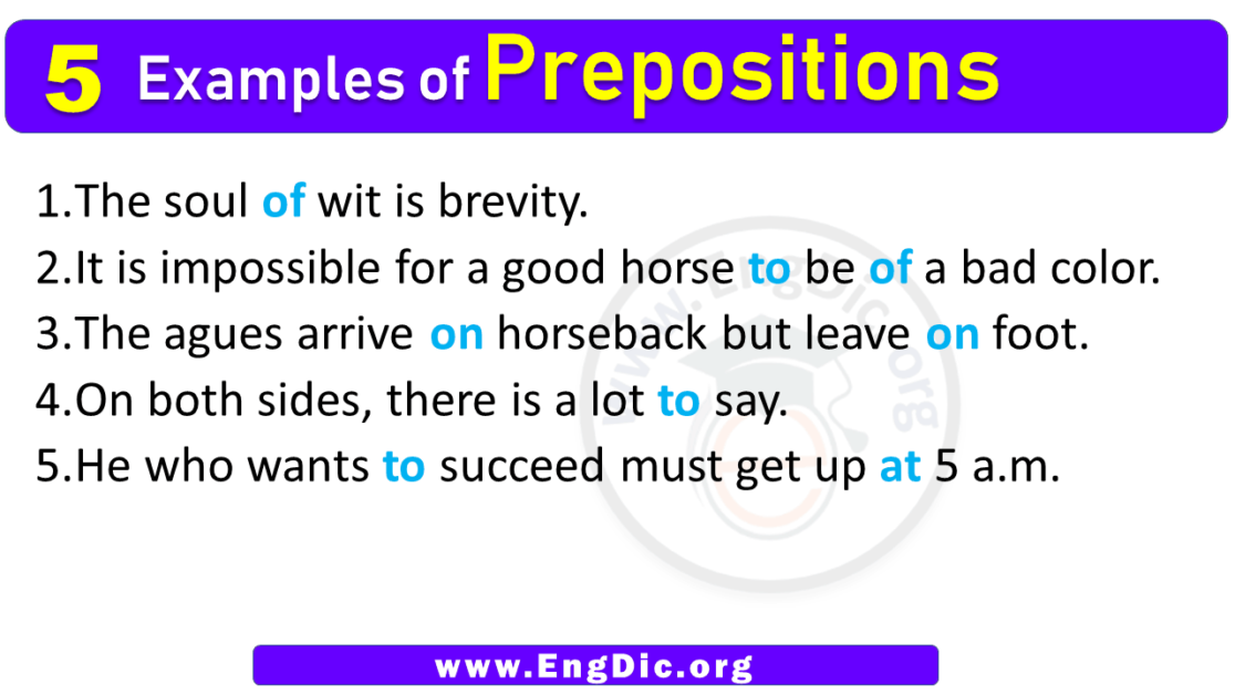 5 Examples of Prepositions in Sentences - EngDic