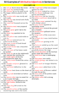 50 Examples of Attributive Adjectives in Sentences - EngDic