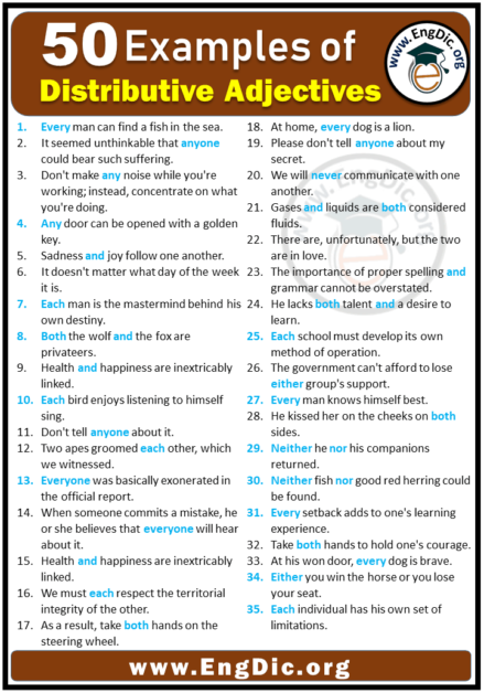 50 Examples of Distributive Adjectives in Sentences – EngDic