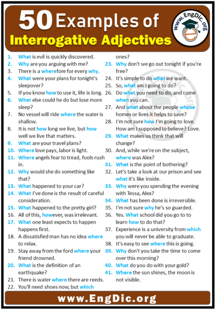 50 Examples of Interrogative Adjectives in Sentences - EngDic