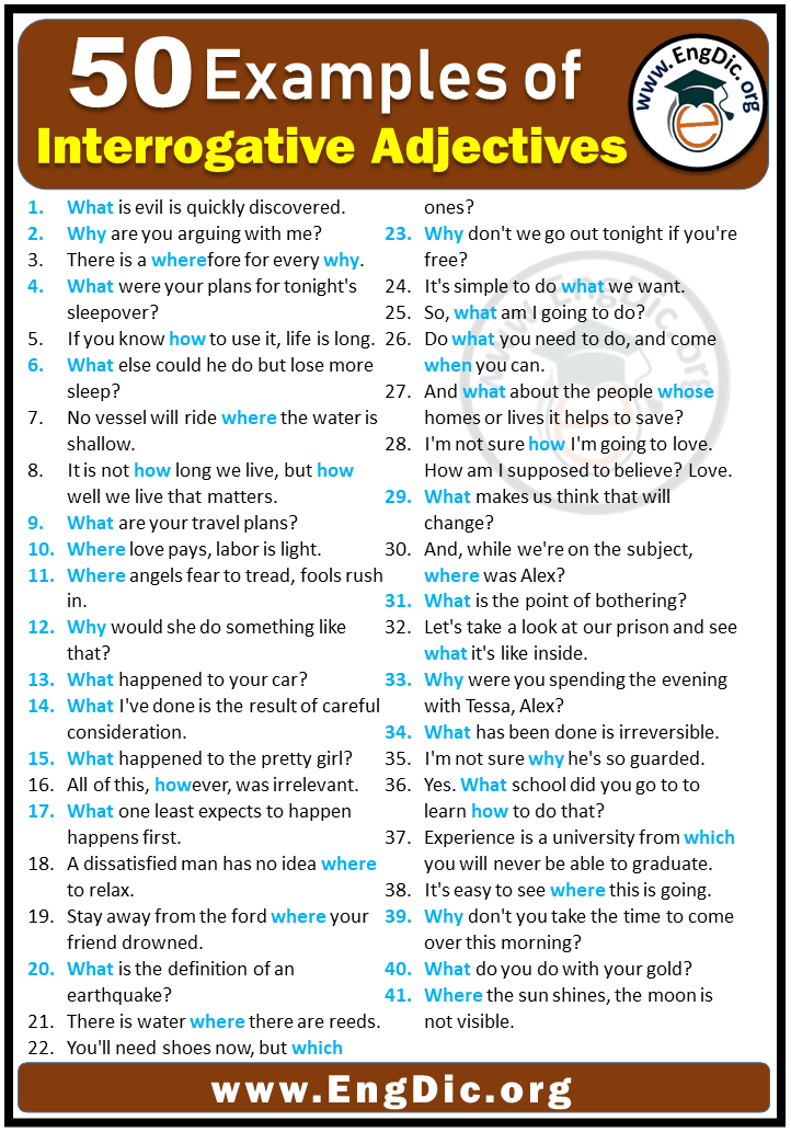 50 Examples of Interrogative Adjectives in Sentences - EngDic