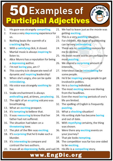 50 Examples of Participial Adjectives in Sentences – EngDic