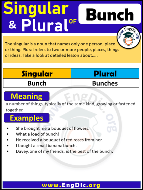 plural form of Bunch – EngDic