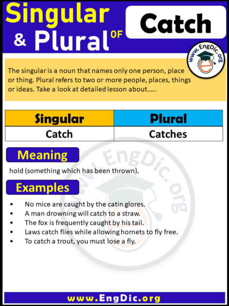 Attendee Plural, What is the plural of Attendee? - EngDic