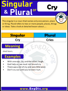 Entry Plural, What is the Plural of Entry? - EngDic