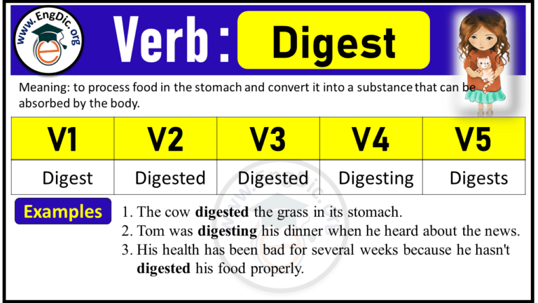 Win Verb Forms: Past Tense and Past Participle (V1 V2 V3) - EngDic