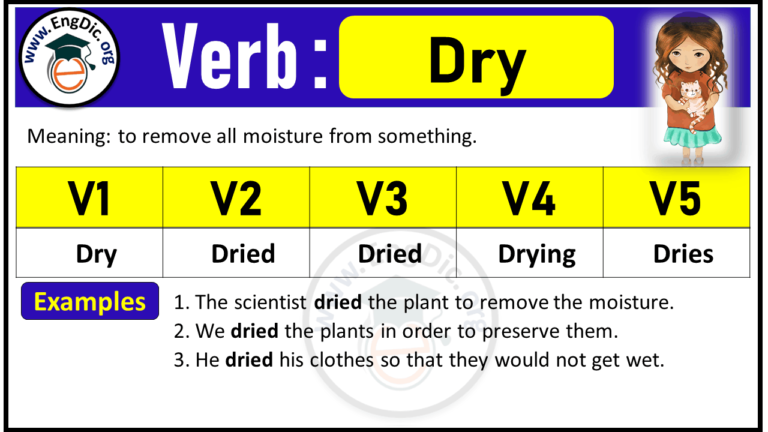 Dry Verb Forms: Past Tense and Past Participle (V1 V2 V3) - EngDic