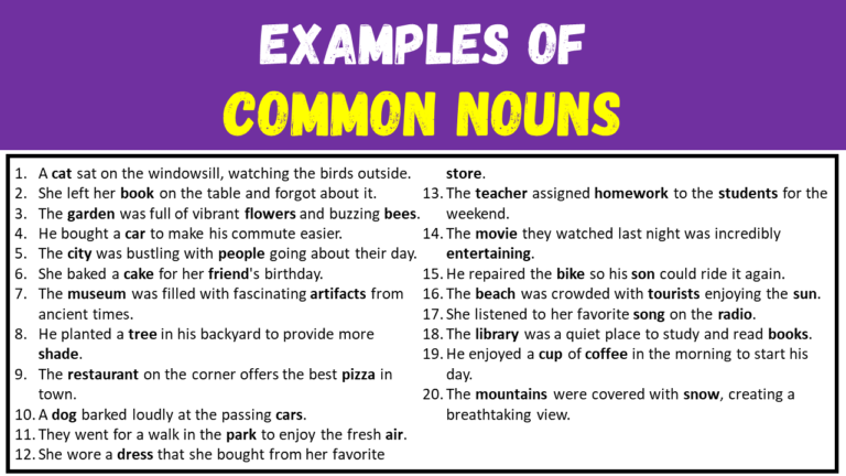 50 Examples of Common Nouns in Sentences - EngDic