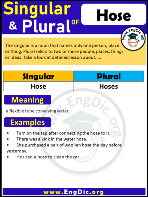 Test Plural, What is the Plural of Test? - EngDic